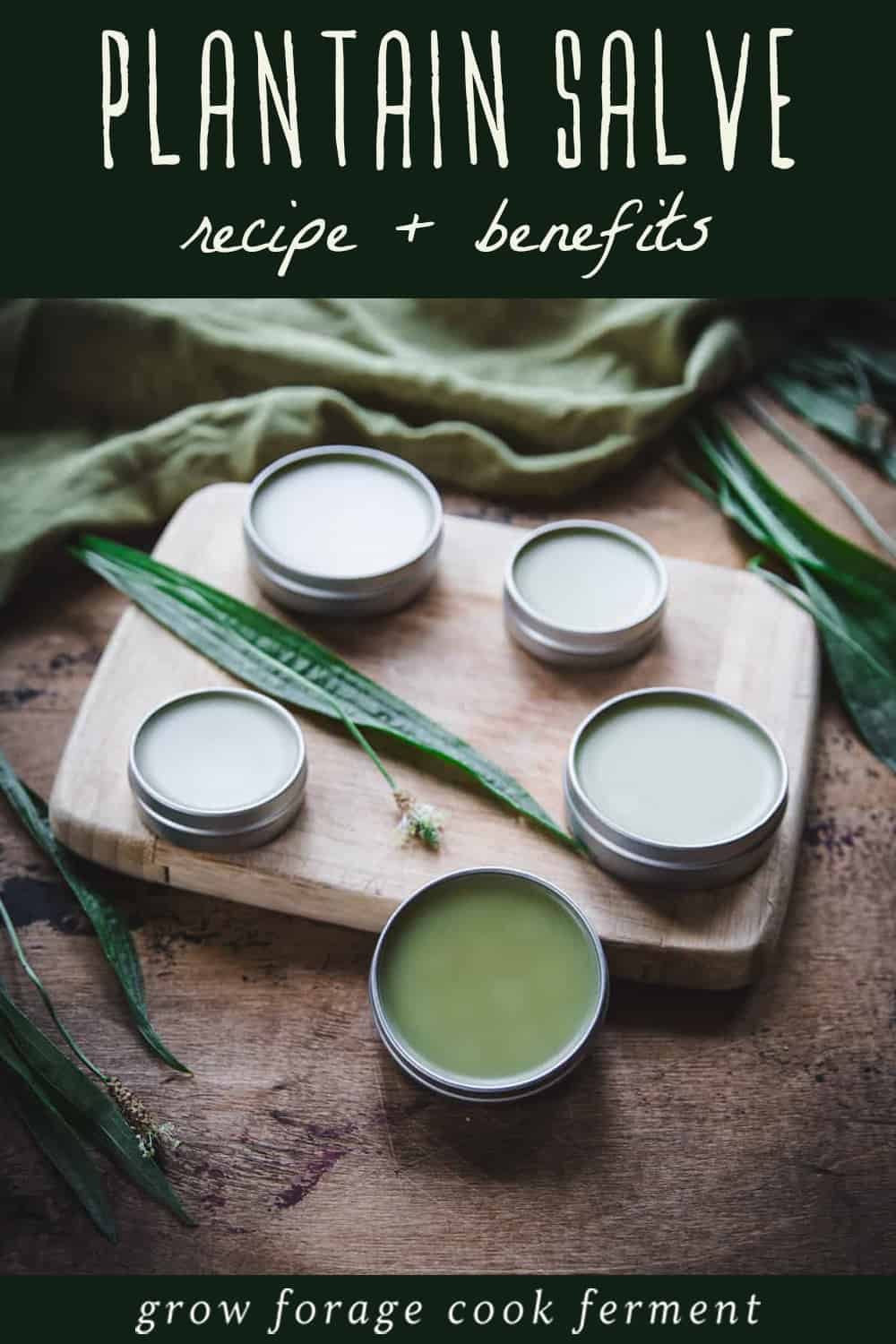 Plantain Salve for Itchy Bug Bites and Rashes