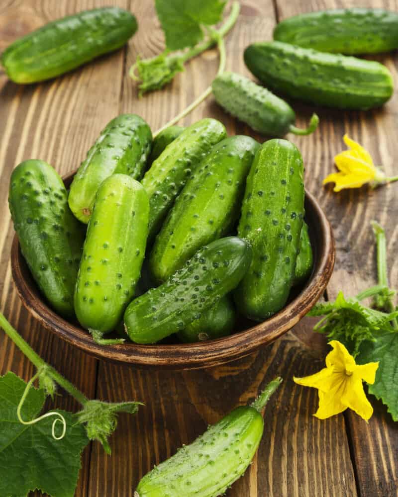 How to Preserve Cucumbers: Ferment, Can, Freeze and More!