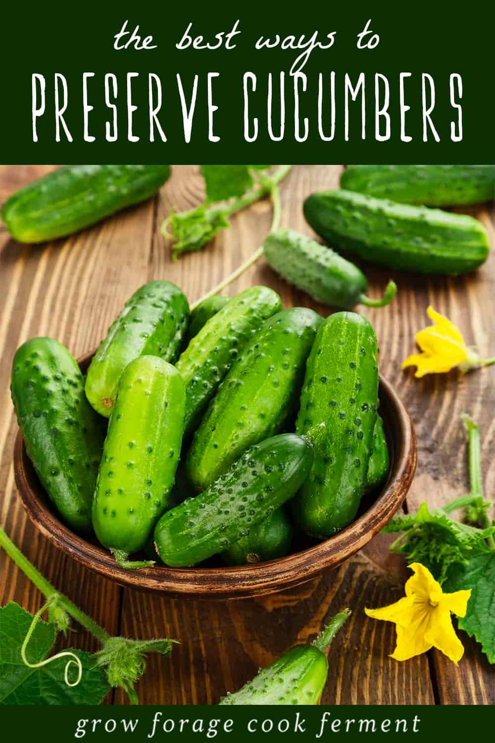 How to Preserve Cucumbers: Ferment, Can, Freeze and More!