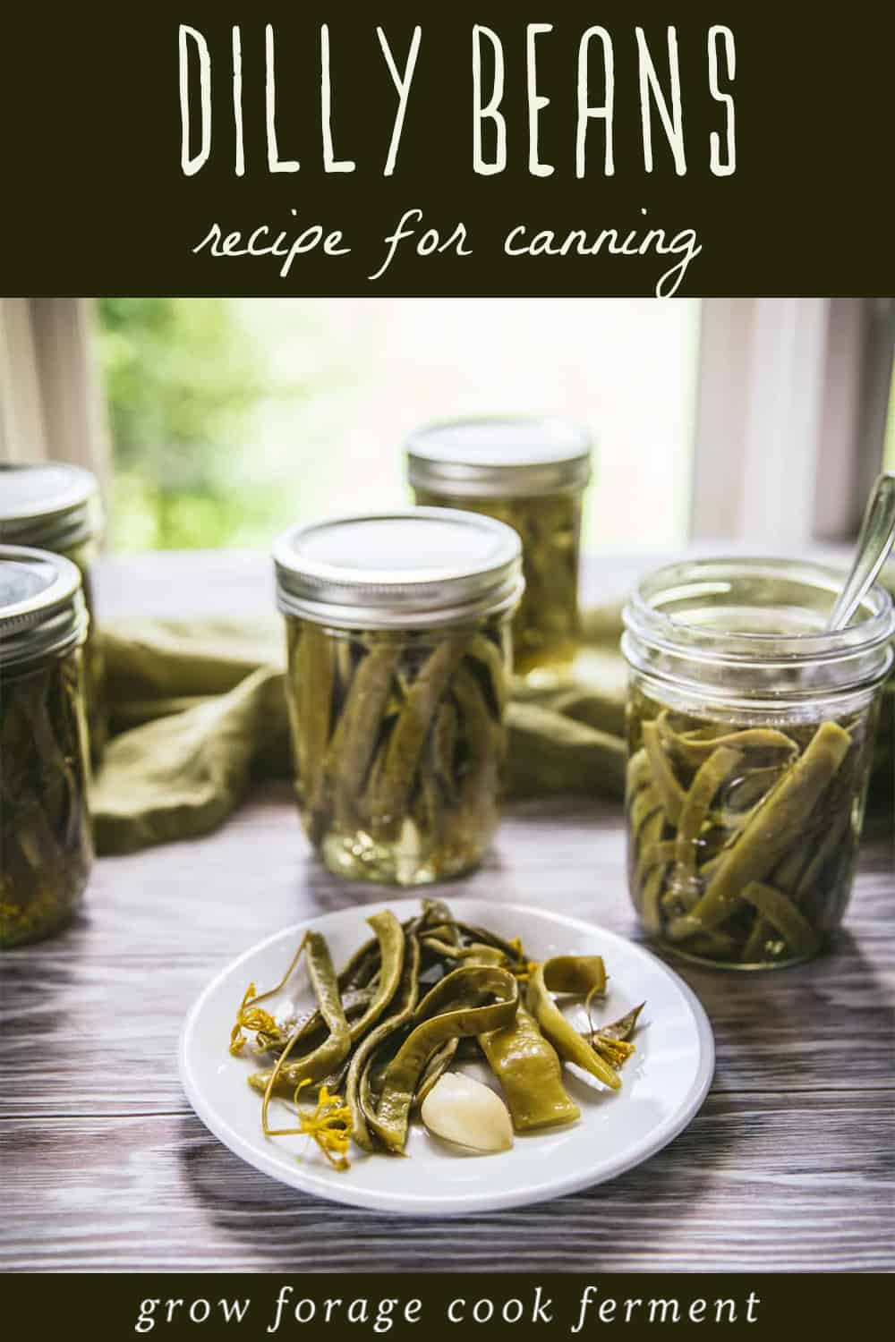 Dilly Beans: Recipe for Canning Green Beans