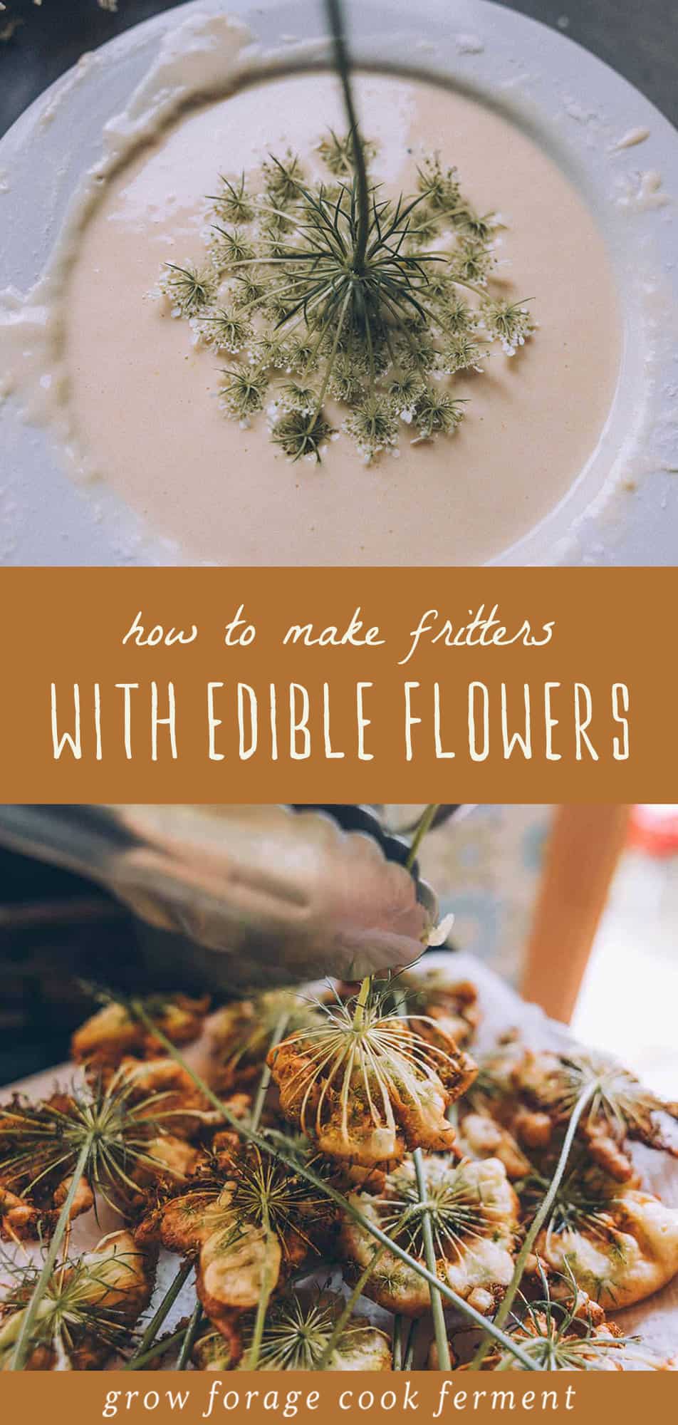 Queen Anne's Lace Fritters