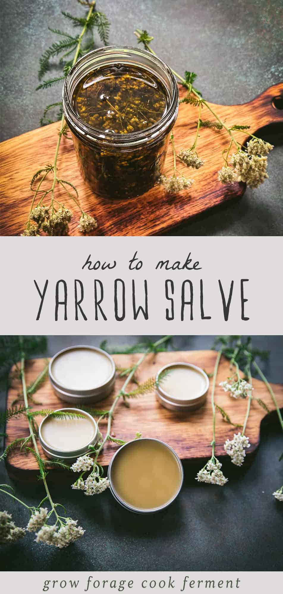 How to Make a Yarrow Plant Salve