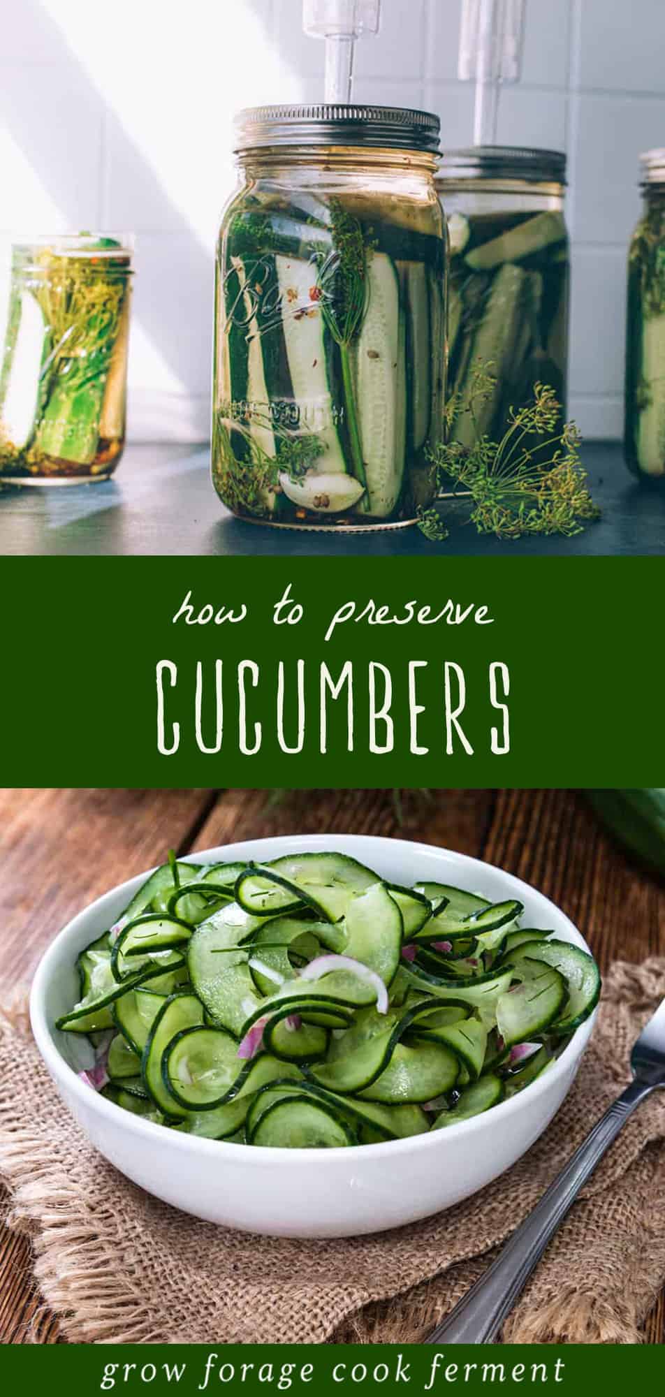 How to Preserve Cucumbers: Ferment, Can, Freeze and More!