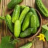 How to Preserve Cucumbers: Ferment, Can, Freeze and More!