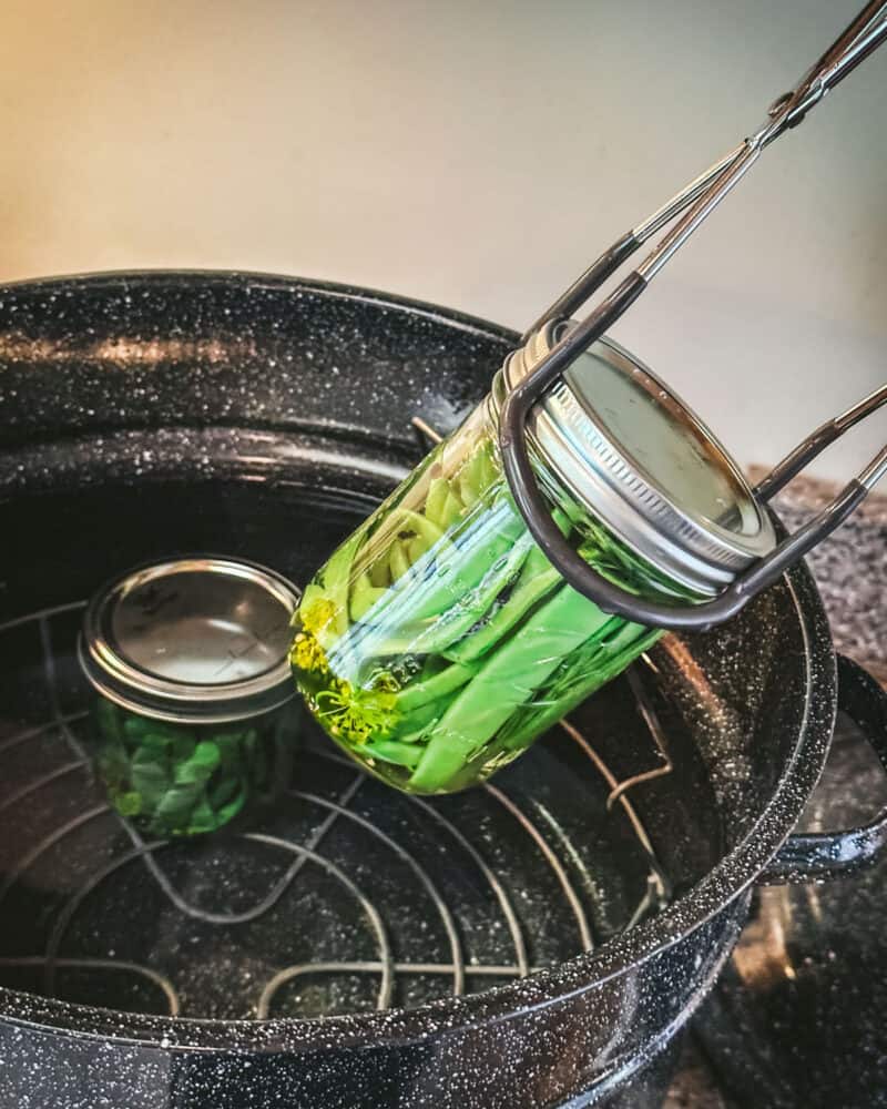 Dilly Beans: Recipe for Canning Green Beans