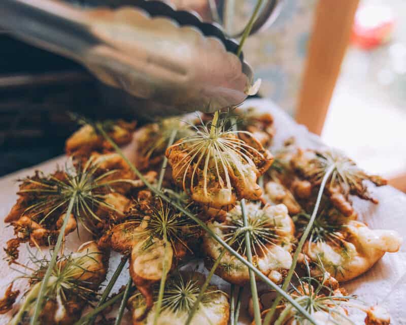 Queen Anne's Lace Fritters