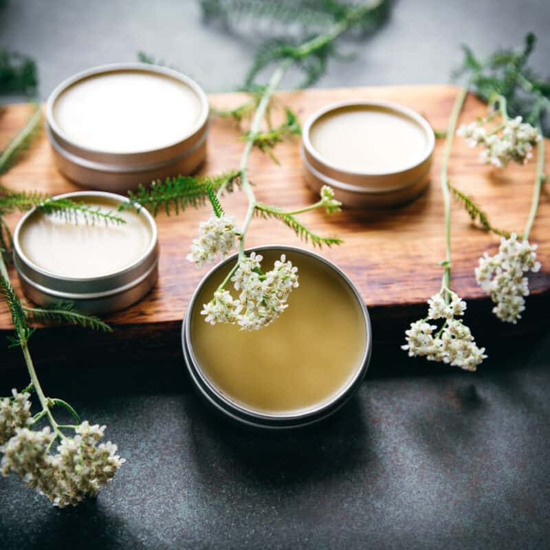 How to Make a Yarrow Plant Salve