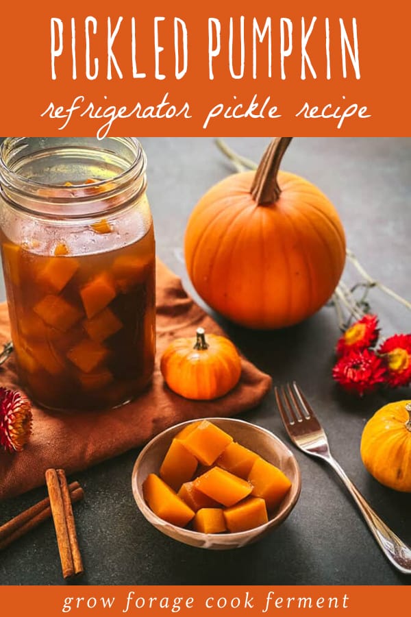 Pickled Pumpkin: A Quick Pickle Recipe