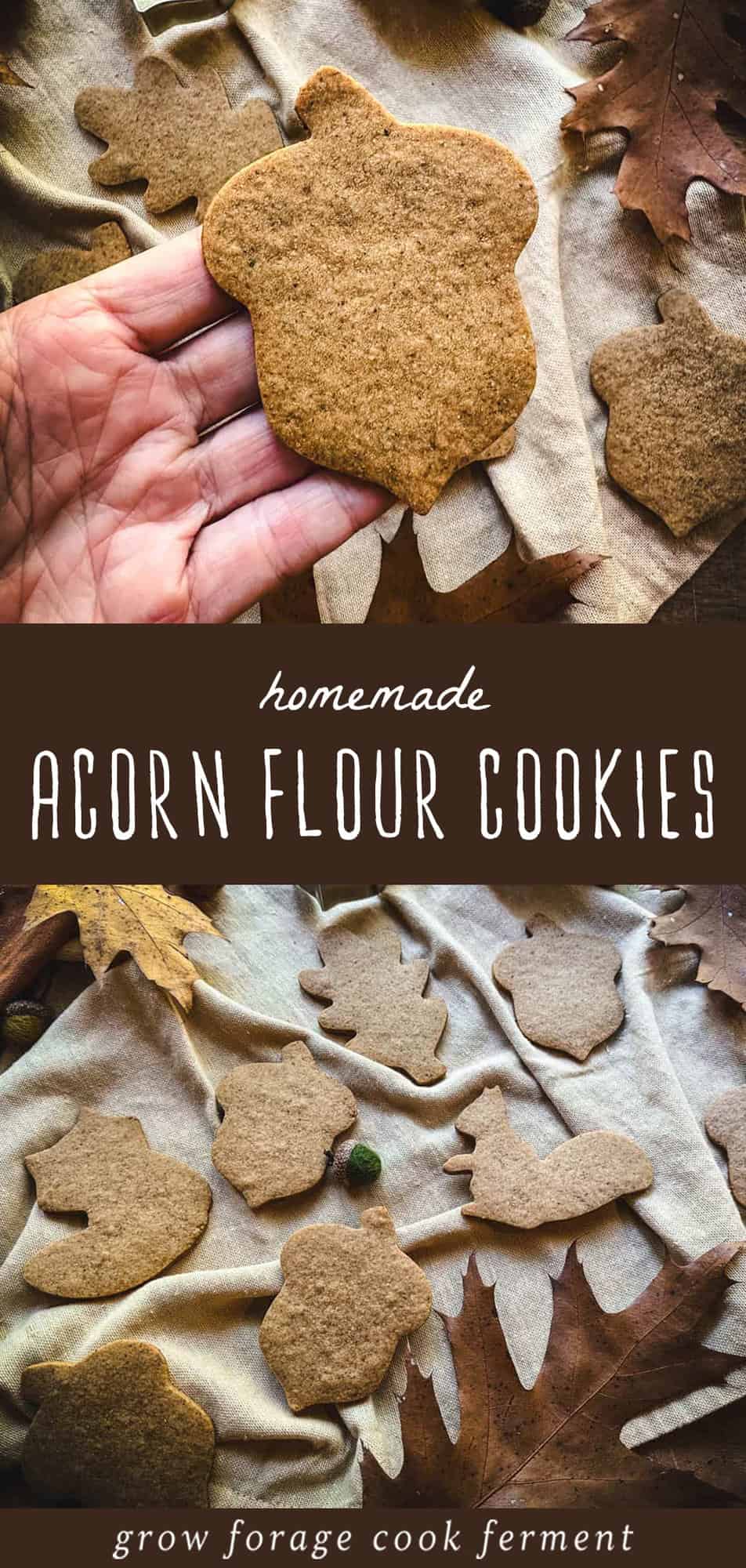 Acorn Flour Cookies