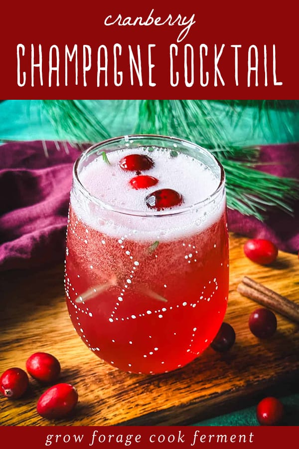 Cranberry Champagne Cocktail