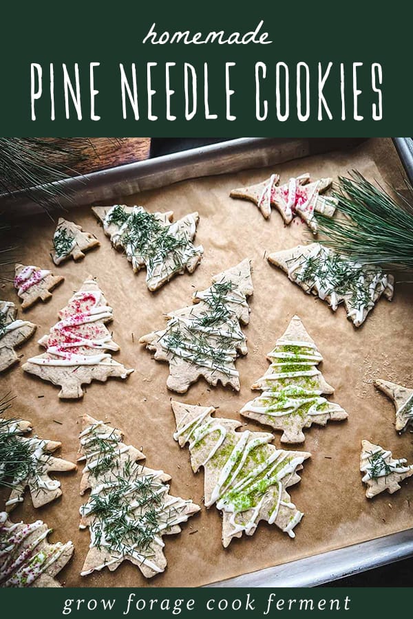 Pine Needle Cookies