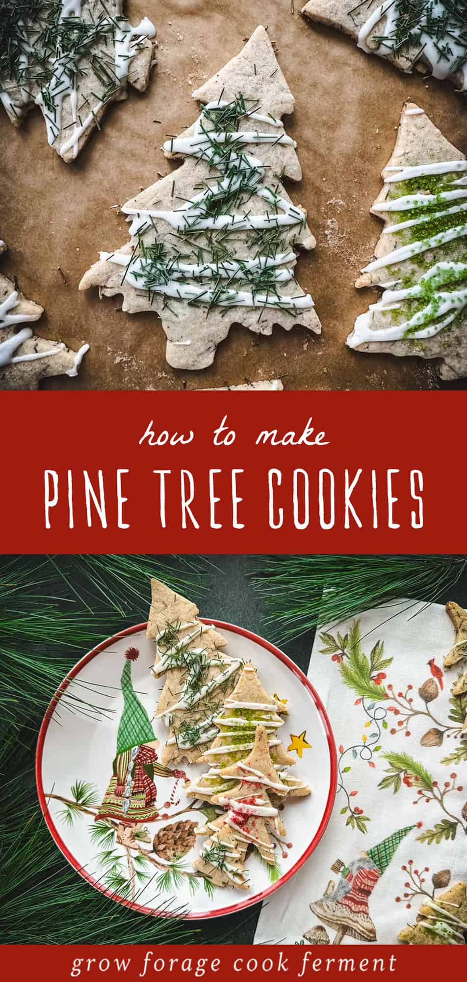 Pine Needle Cookies