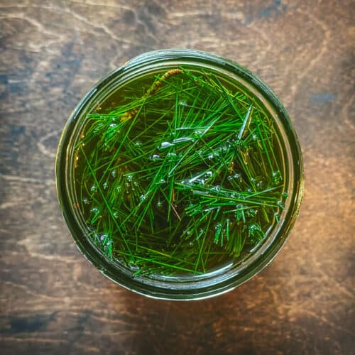 Pine Salve With Infused Pine Oil
