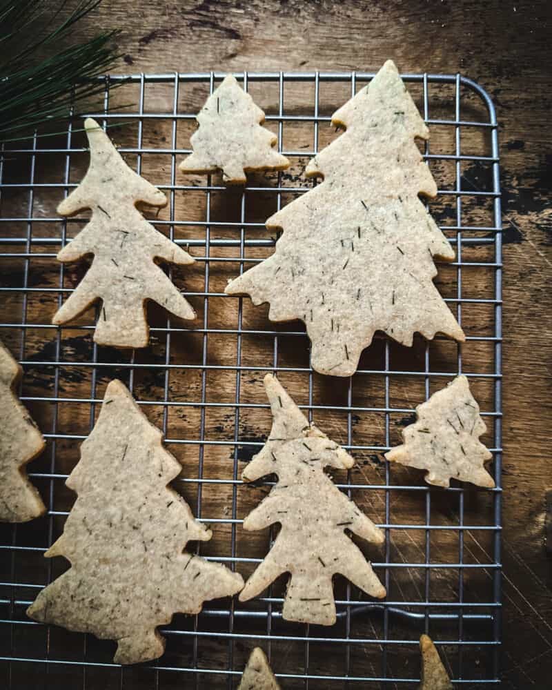 Pine Needle Cookies