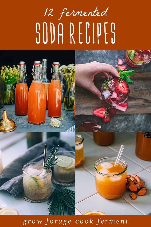 12 Fermented Soda Recipes
