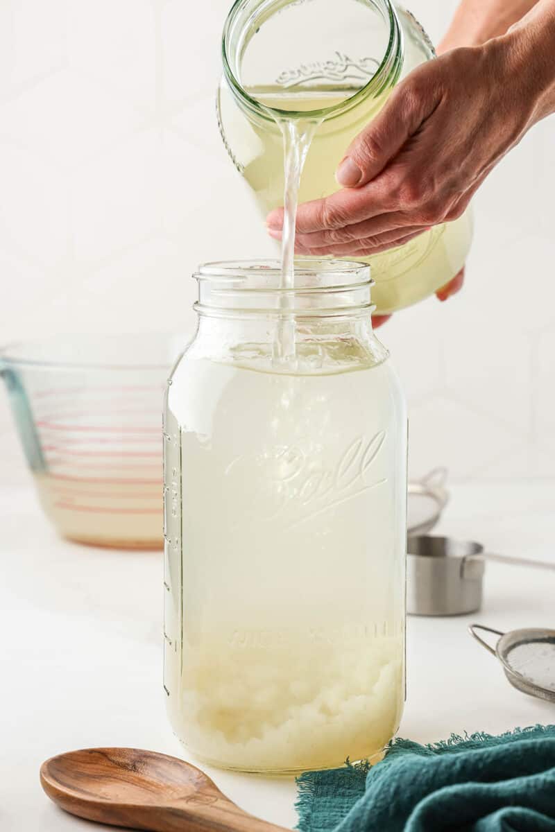 How to Make Water Kefir