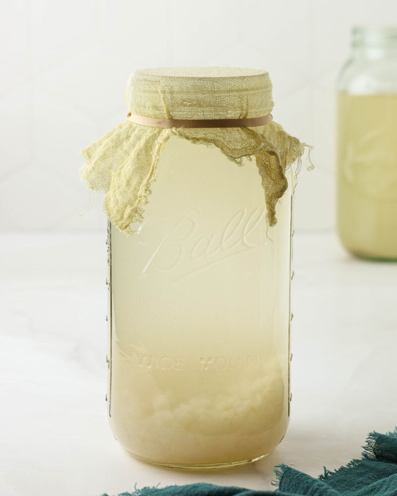 Strawberry Water Kefir Soda: Second Ferment