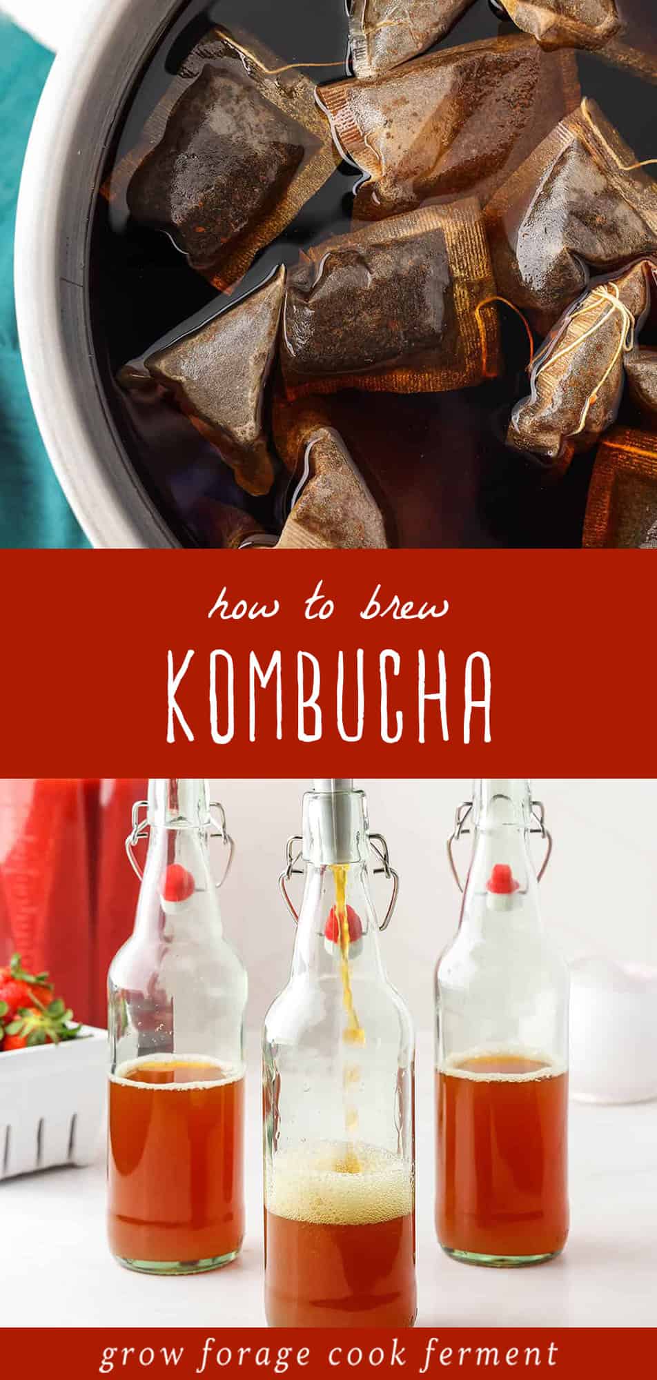 How to Brew Kombucha