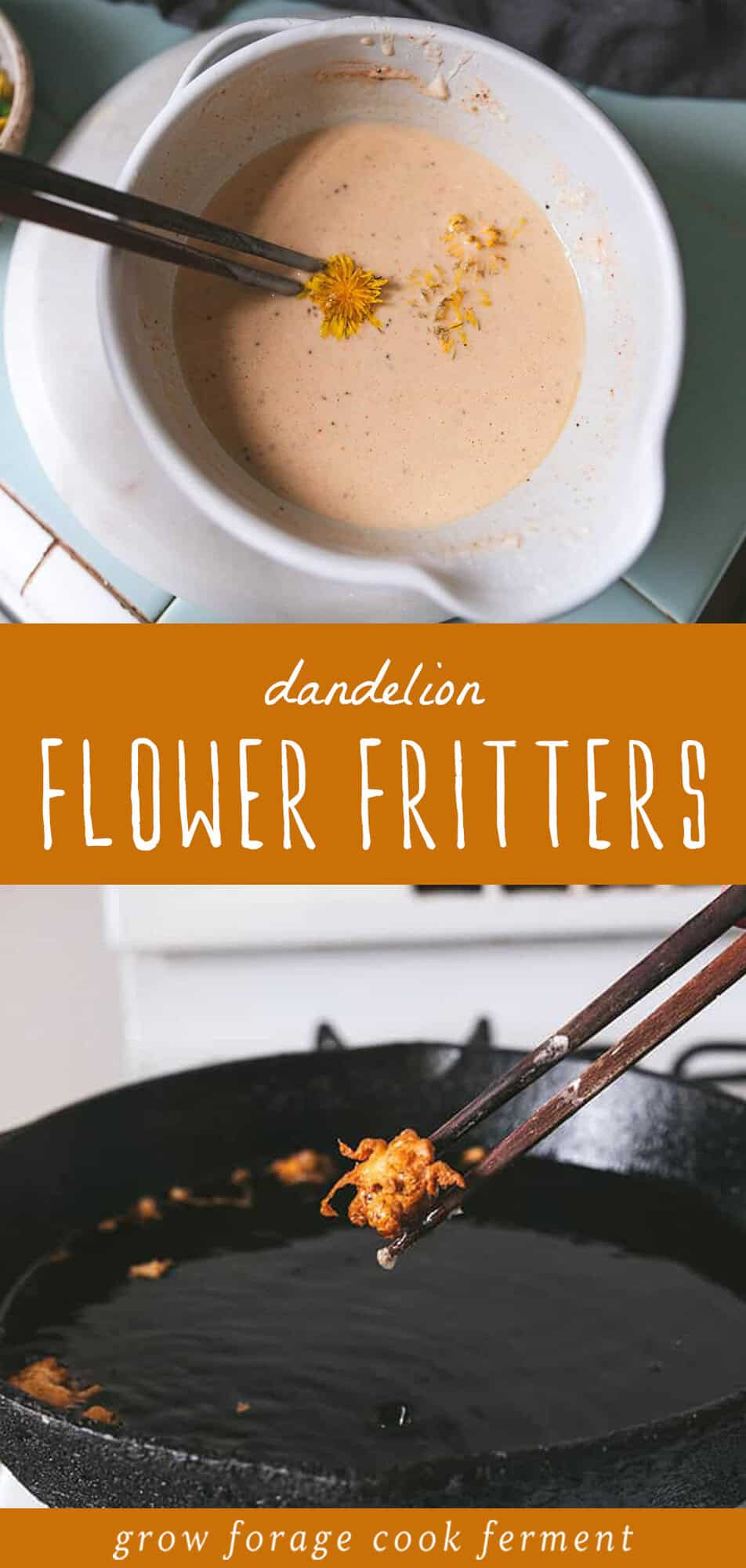 Dandelion Fritters: A Snack From Your Backyard