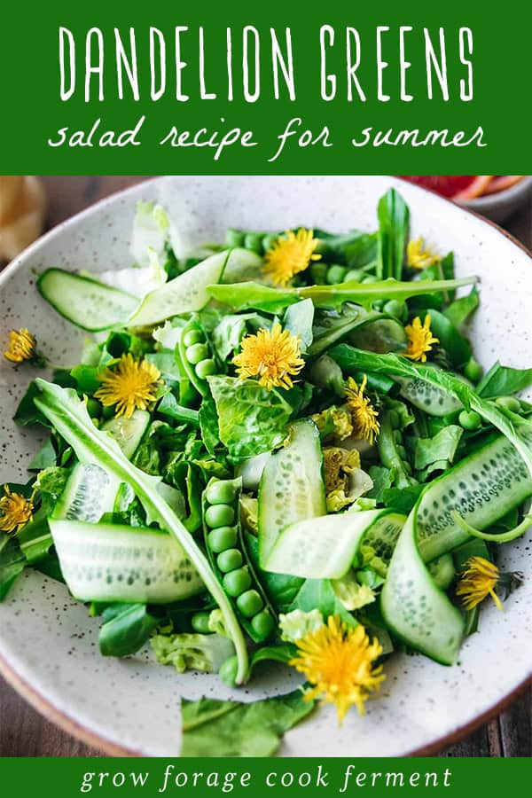 Dandelion Salad: A Recipe from Grandma's Time