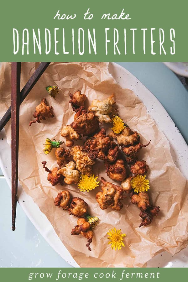 Dandelion Fritters: A Snack From Your Backyard