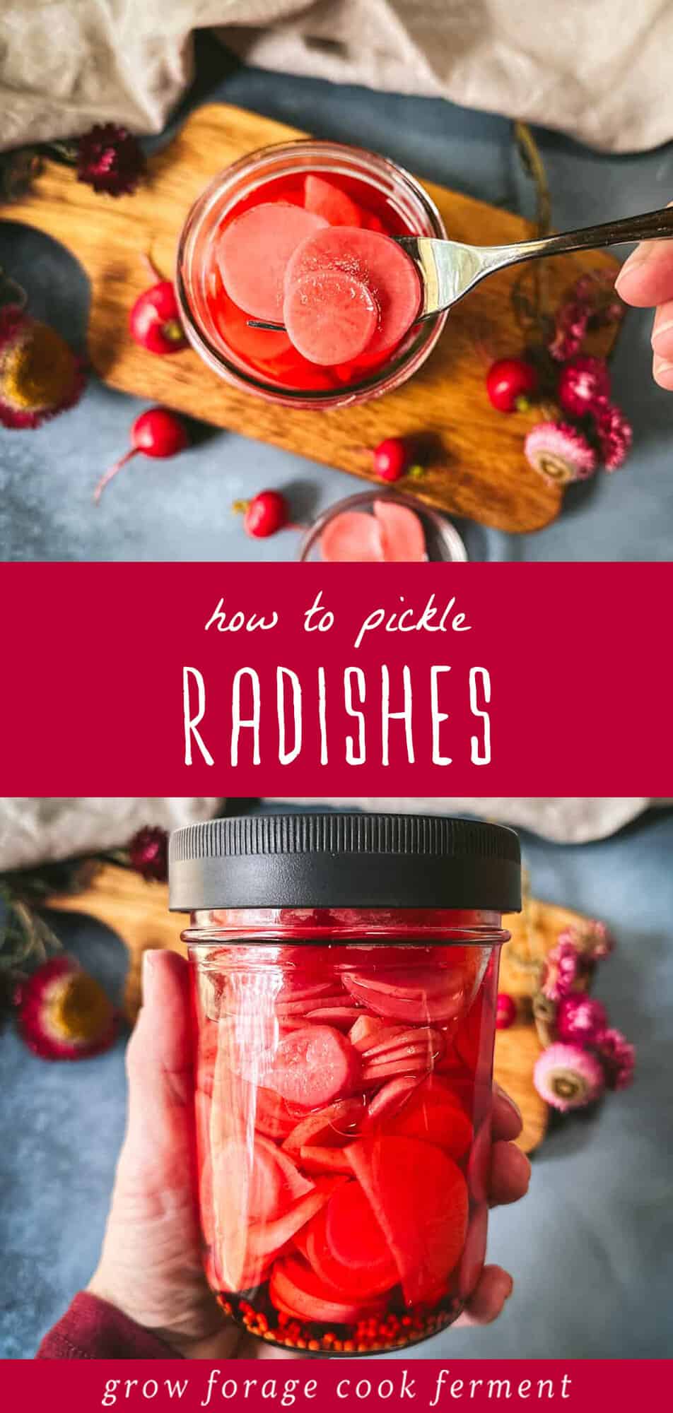 Quick Pickled Radish: Pink, Red, Watermelon, or Daikon