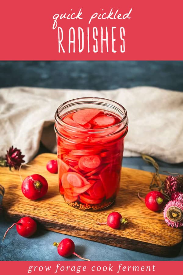Quick Pickled Radish: Pink, Red, Watermelon, or Daikon