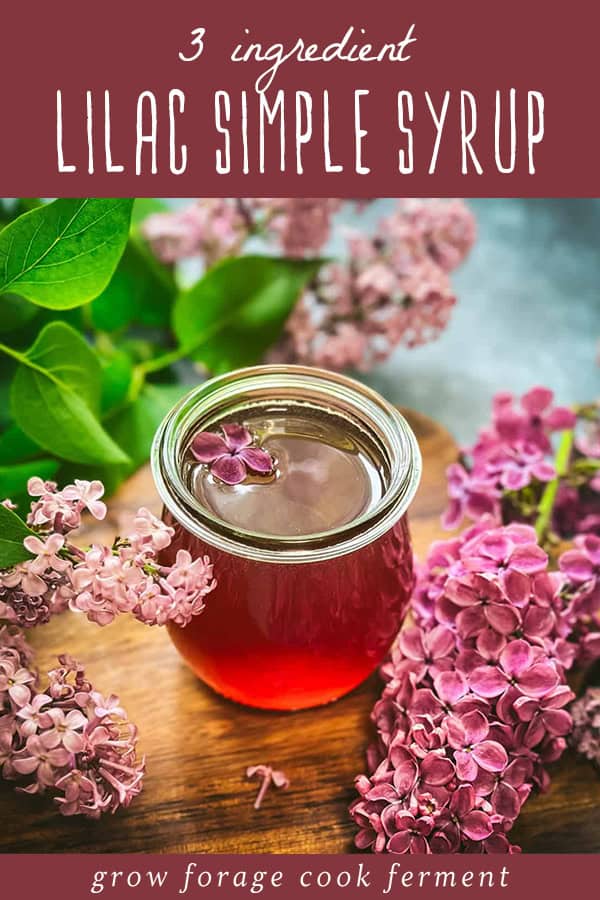 Lilac Syrup: Light Floral Flavor of Spring
