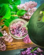 Lilac Syrup: Light Floral Flavor of Spring