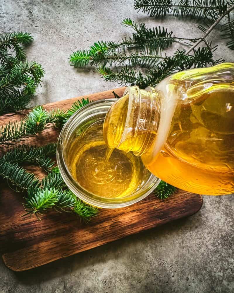 Conifer Tip Syrup: Made with Spruce, Fir, Pine, or Hemlock