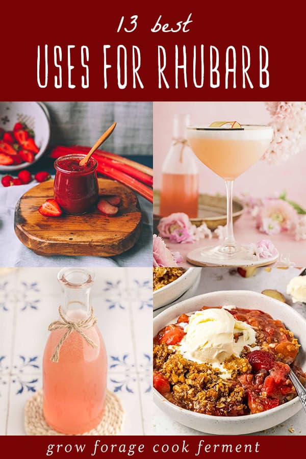 13 Ways to Use Rhubarb