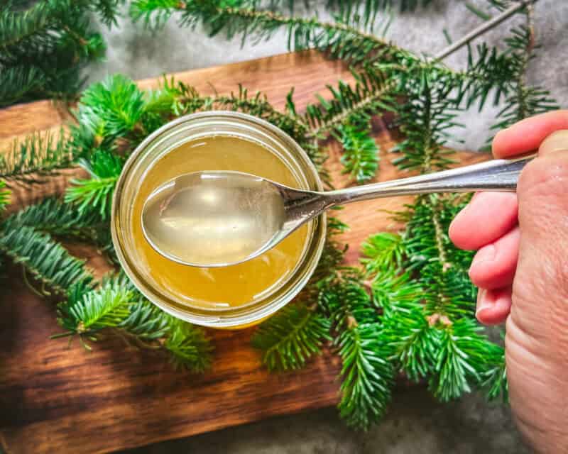 Conifer Tip Syrup: Made with Spruce, Fir, Pine, or Hemlock