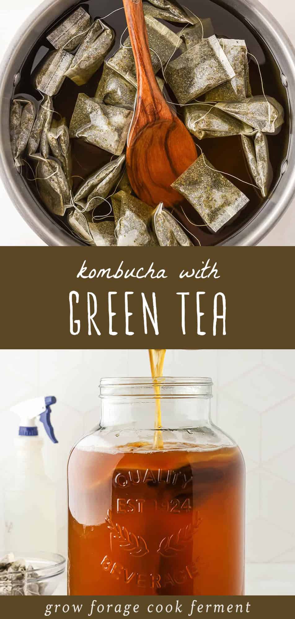 Green Tea Kombucha: Light and Refreshing
