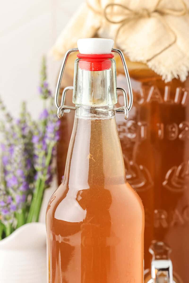 Lavender Kombucha: A Calming Second Ferment