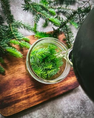 Conifer Tip Syrup: Made with Spruce, Fir, Pine, or Hemlock