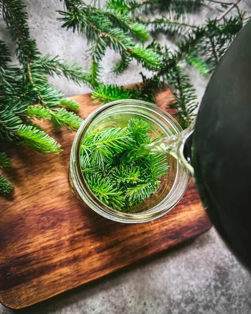 Conifer Tip Syrup: Made with Spruce, Fir, Pine, or Hemlock