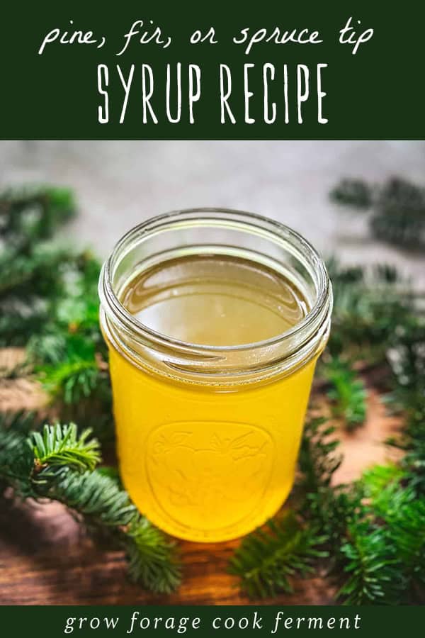 Conifer Tip Syrup: Made with Spruce, Fir, Pine, or Hemlock
