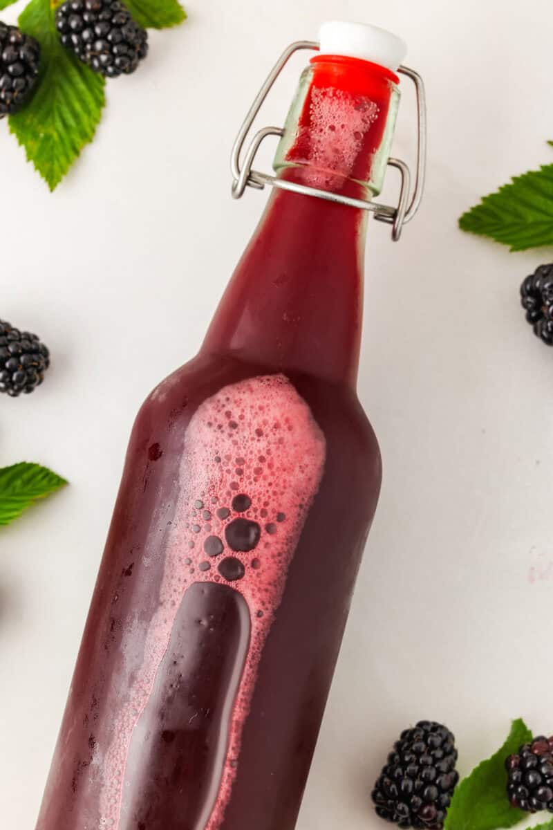 Homemade Blackberry Kombucha