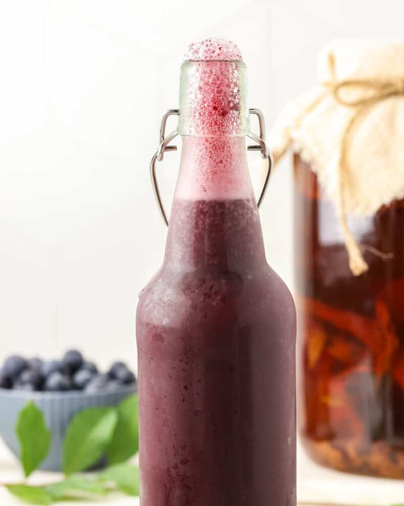 Homemade Blueberry Kombucha