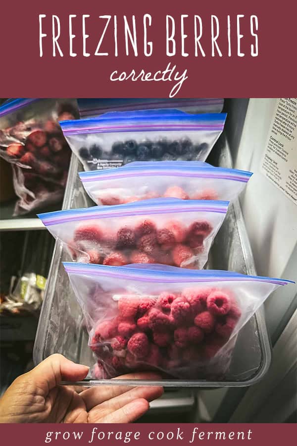 How to Freeze Berries: Two Ways
