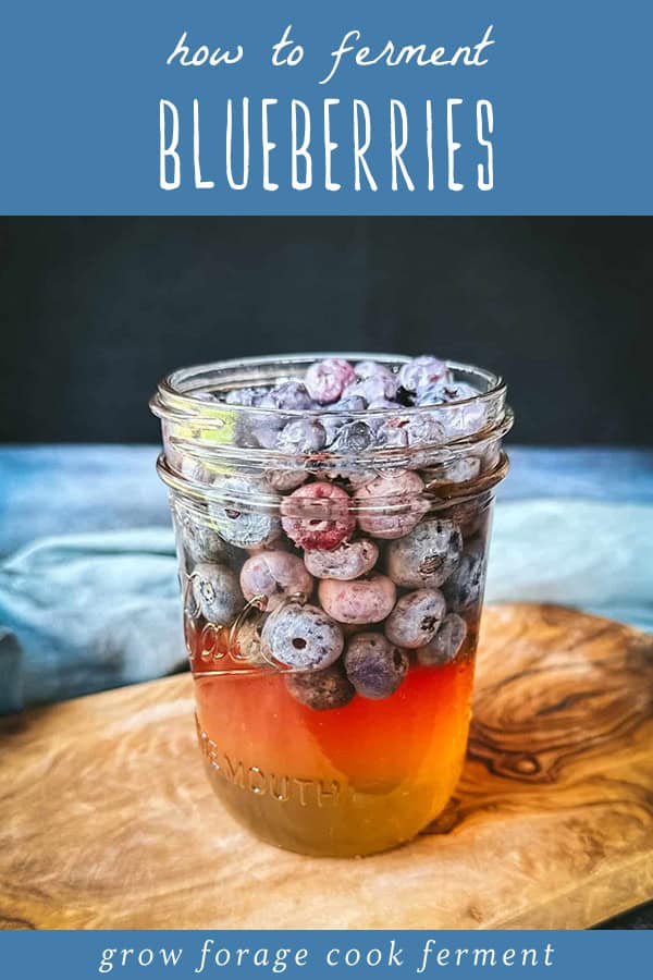 Fermented Honey Blueberries