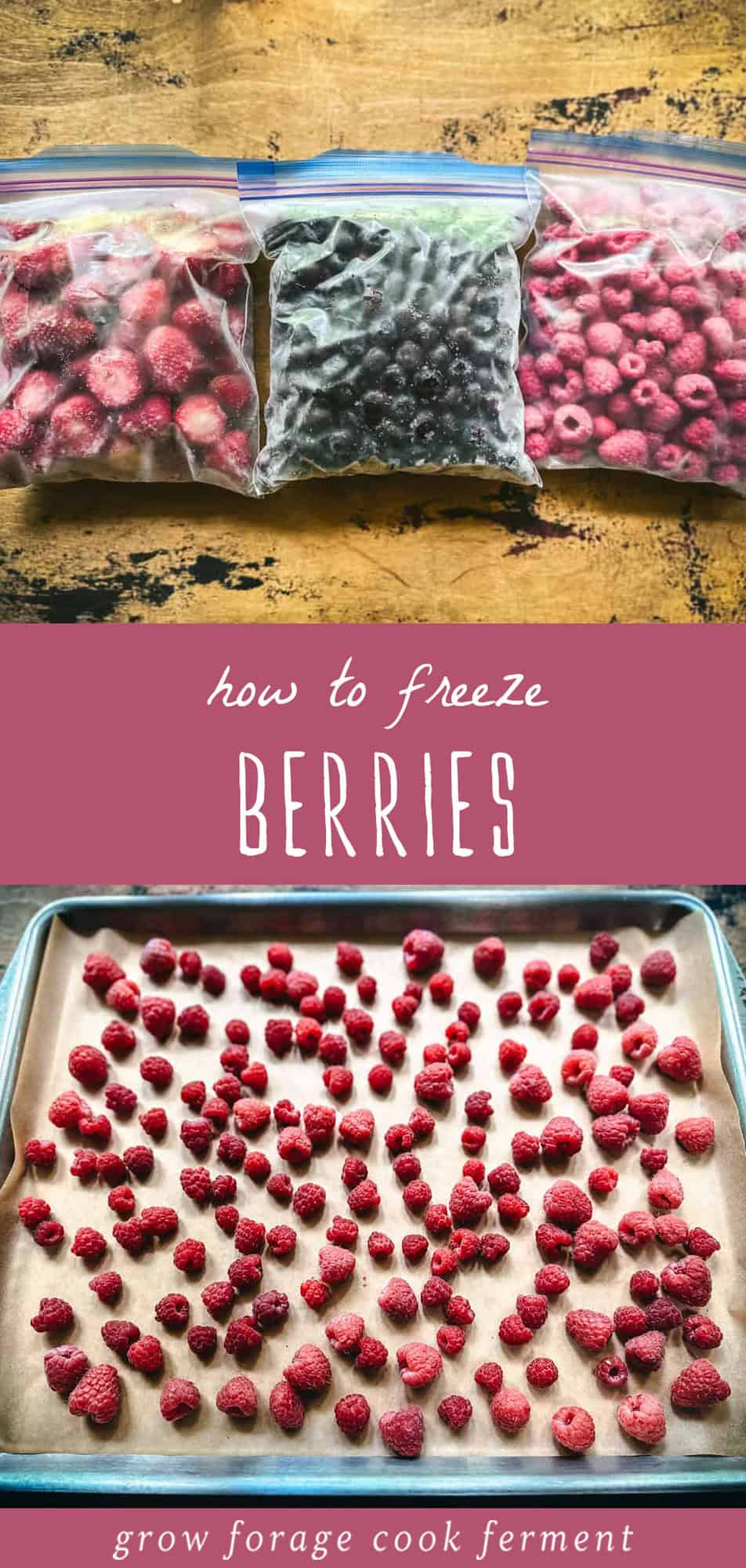 How to Freeze Berries: Two Ways