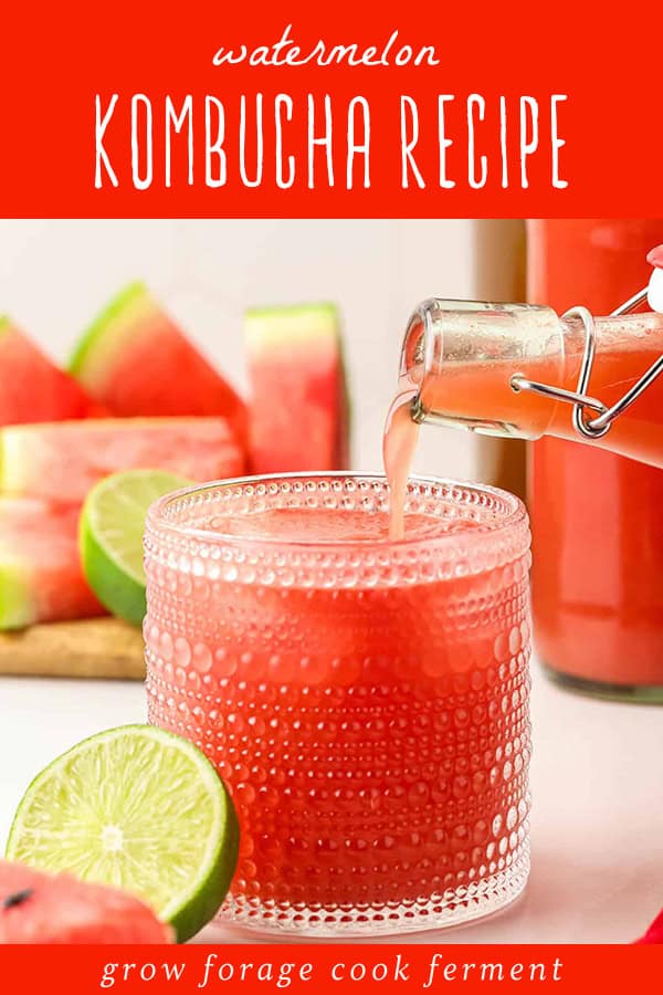 Watermelon Kombucha: Second Ferment for Summer