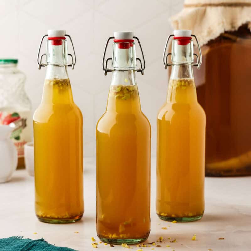 Apple Ginger Kombucha For Fall