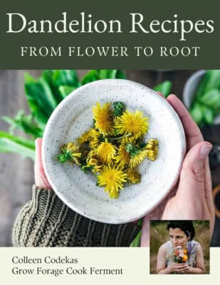 Dandelion Recipes from Flower to Root - Grow Forage Cook Ferment