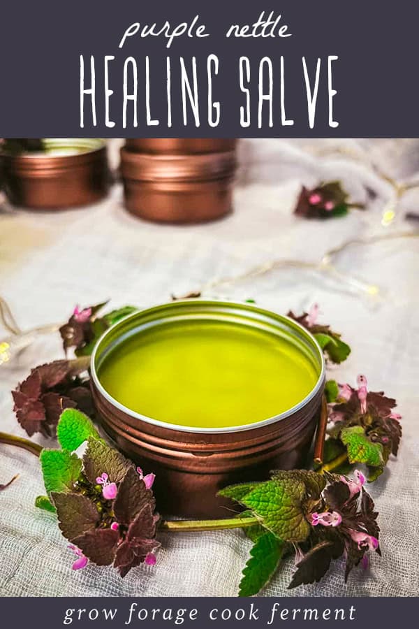 How to Make a Yarrow Plant Salve