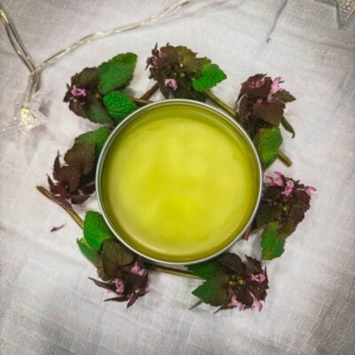 How to Make a Yarrow Plant Salve